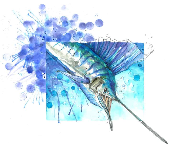 2013 Marlin Art Gallery | Marlin