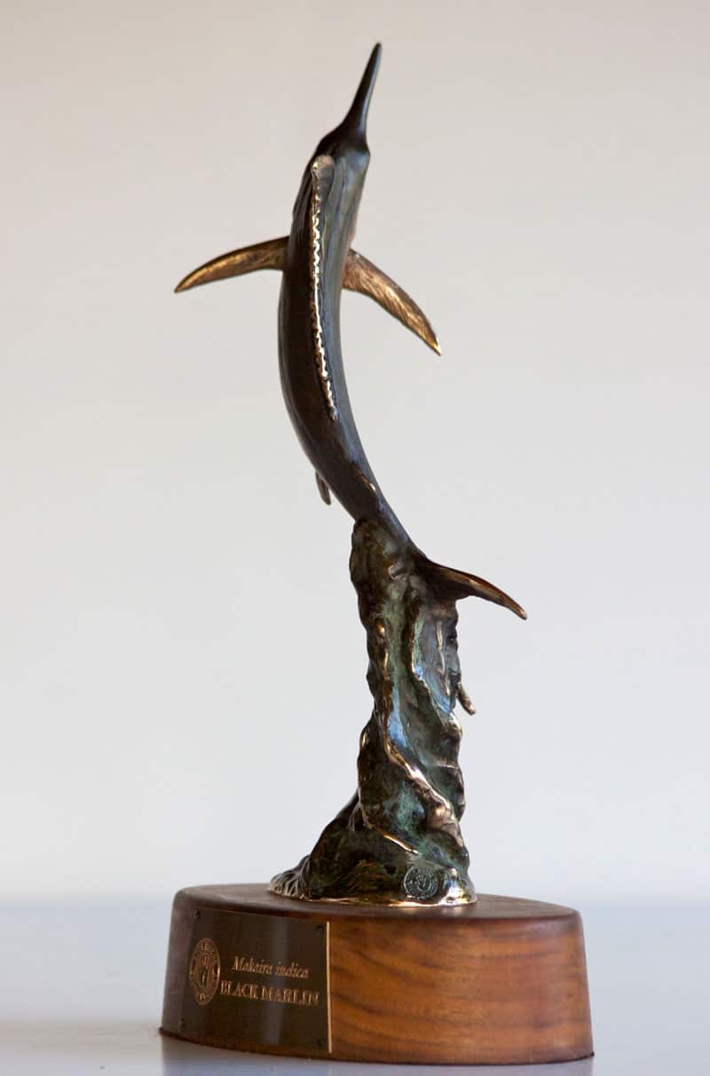 2013 Marlin Art Gallery | Marlin