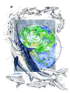 2015 Marlin Art Gallery | Marlin