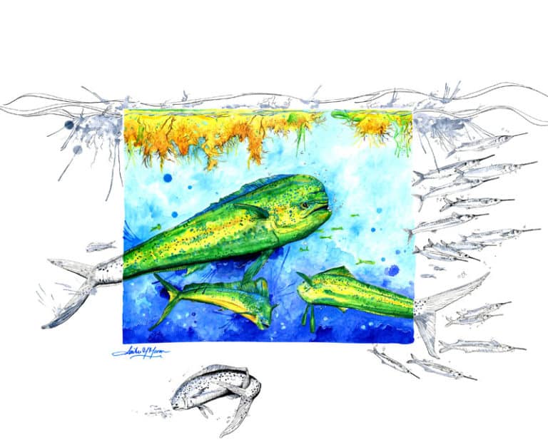 2015 Marlin Art Gallery | Marlin