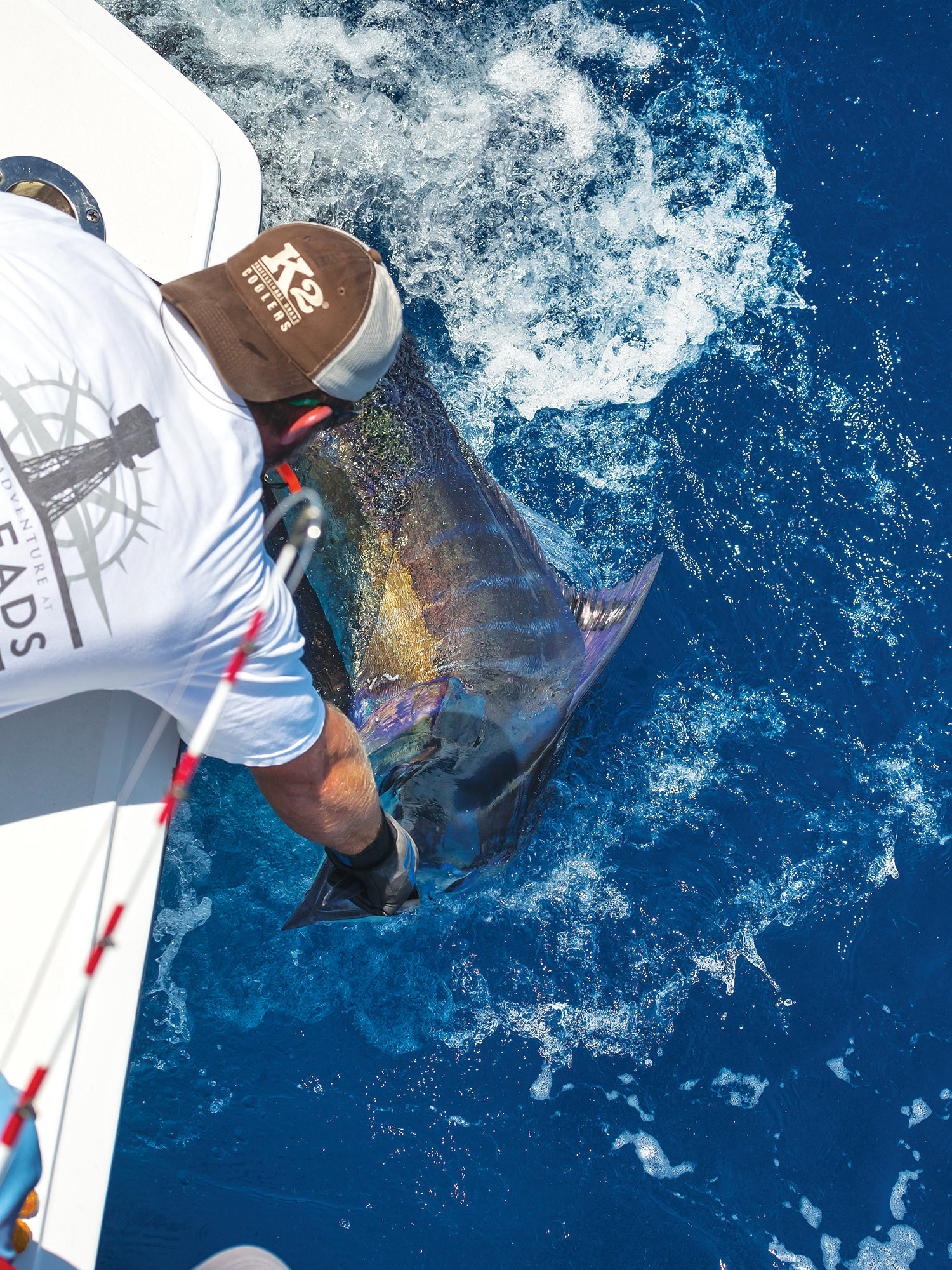 Marlin Fishing Off Florida's West Coast | Marlin