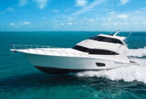 Bertram, Bertram 800 Convertible | Marlin
