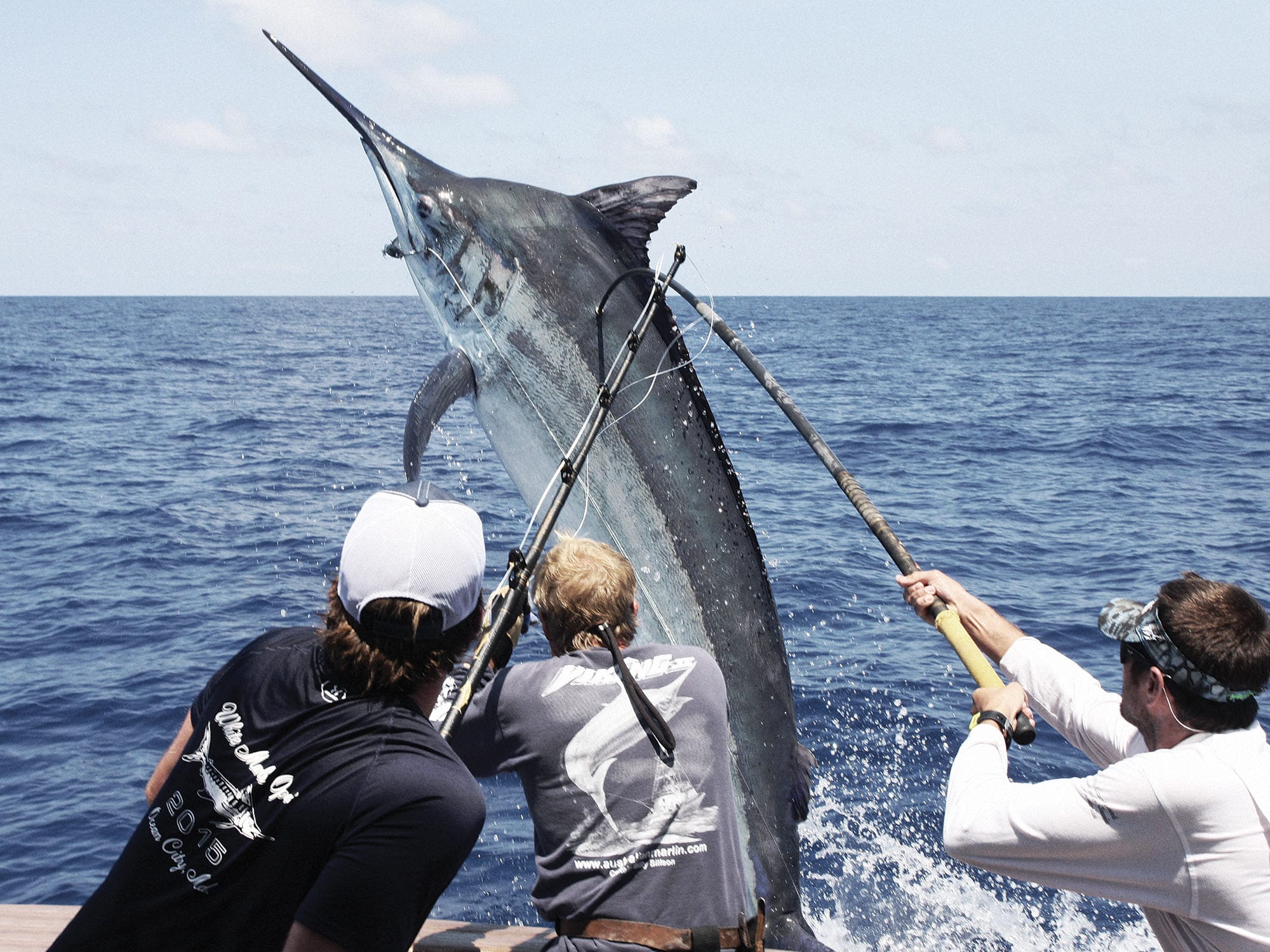 Fishing Cairns, Australia for Thousand-Pound Black Marlin | Marlin