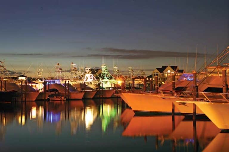 30 Years of Tournaments | Marlin