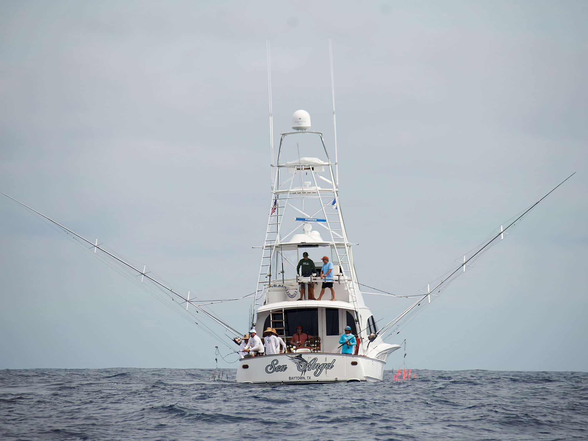 Austin Angel | Marlin