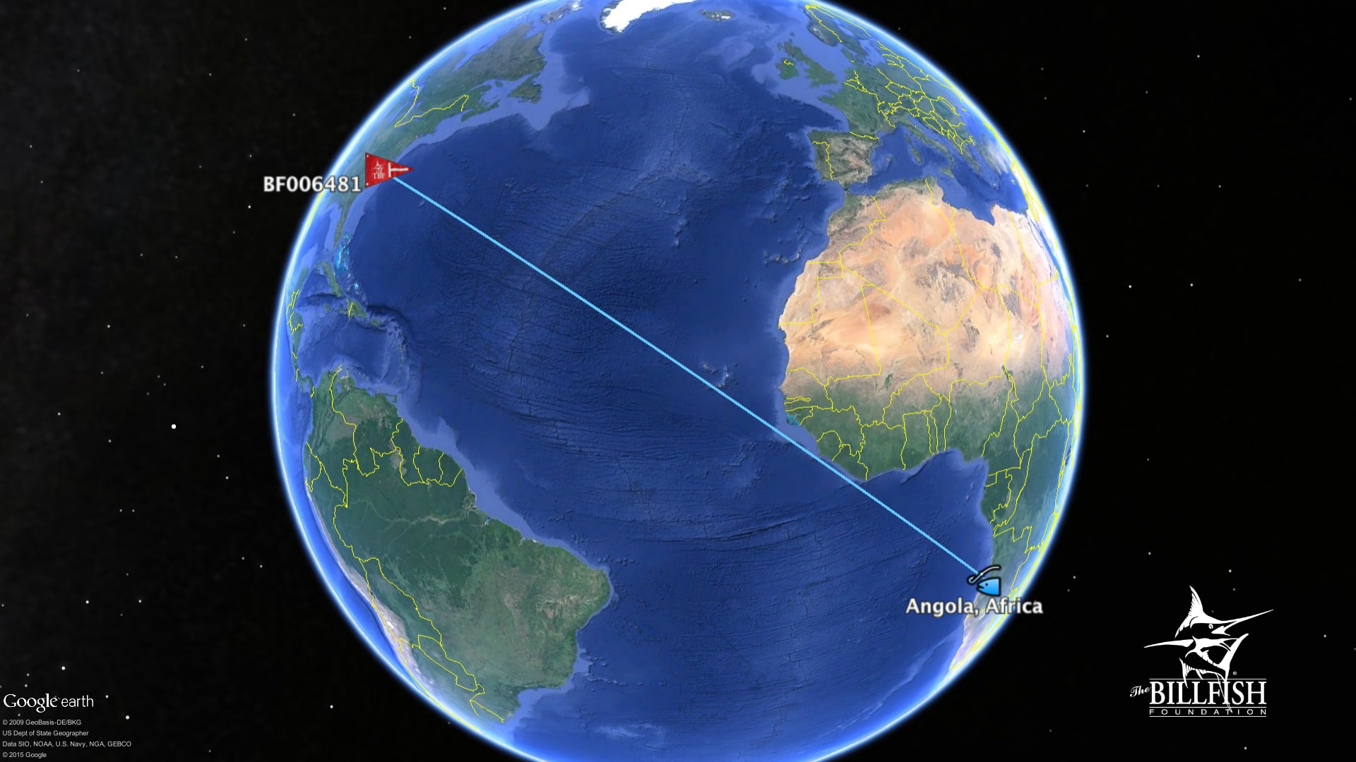 Top 10 Longest Marlin Migrations | Marlin