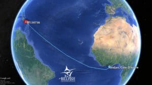 Top 10 Longest Marlin Migrations | Marlin