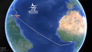 Top 10 Longest Marlin Migrations | Marlin