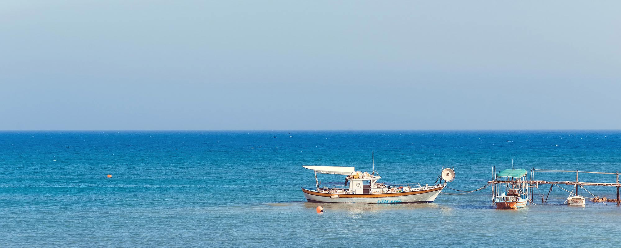 Bimini Destination Guide | Marlin