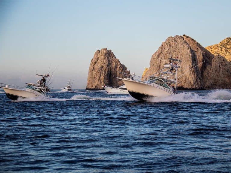 The Bisbee’s Black and Blue: A Comprehensive History | Marlin