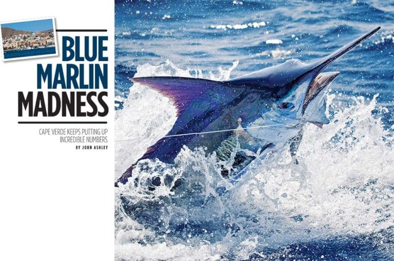 Blue Marlin Madness in Cape Verde | Marlin