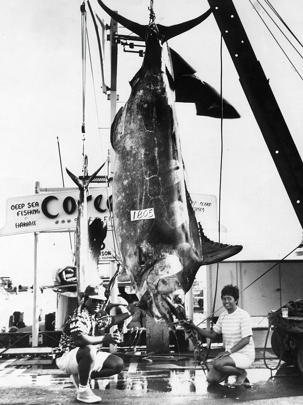 Hawaii Blue Marlin Fishing History, Top Trolling Lures | Marlin