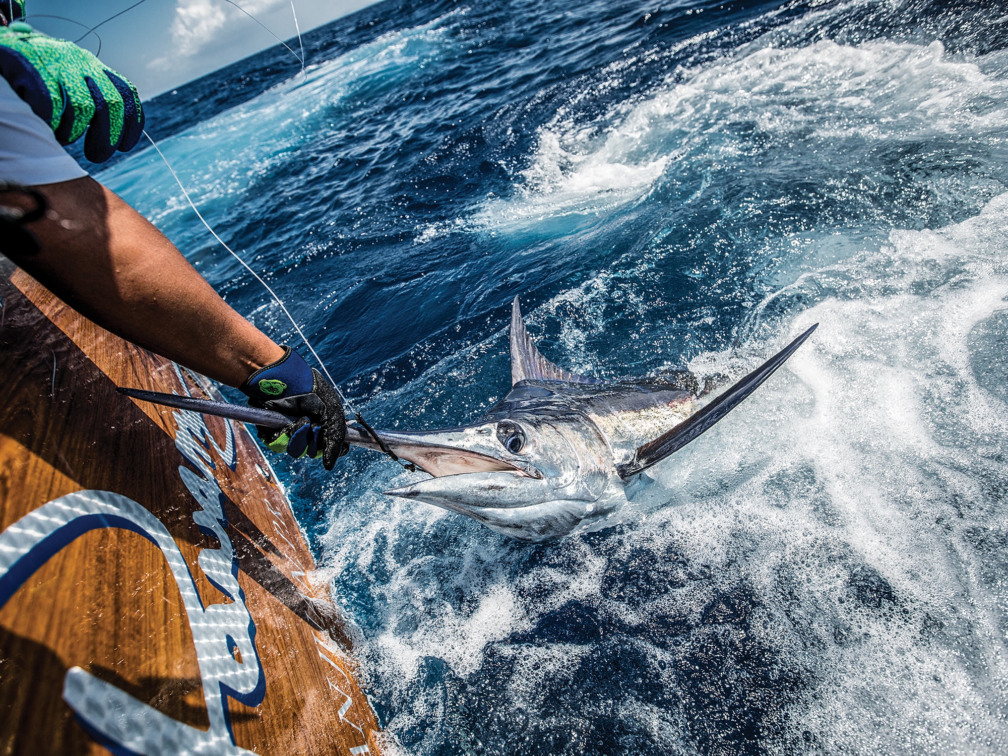 Fishing the International Billfish Tournament in San Juan | Marlin