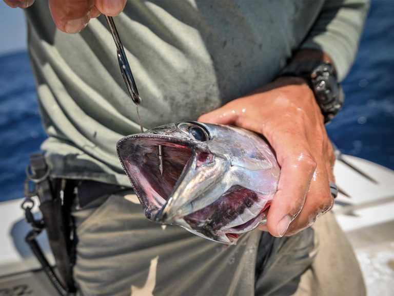 Drilling Rig Blue Marlin | Marlin