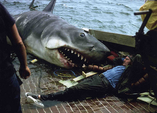 Steven Spielberg's Jaws' Orca is Forever Gone | Marlin