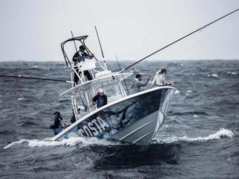 Best Sailfish Fishing Spots Florida, Tackle, Tips | Marlin