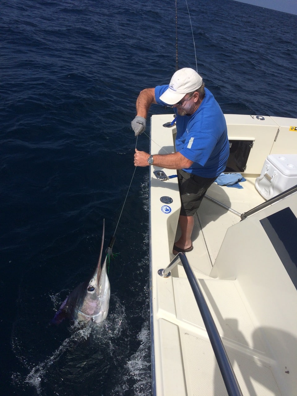 Channel Islands Billfish Tournament Results 2016 | Marlin