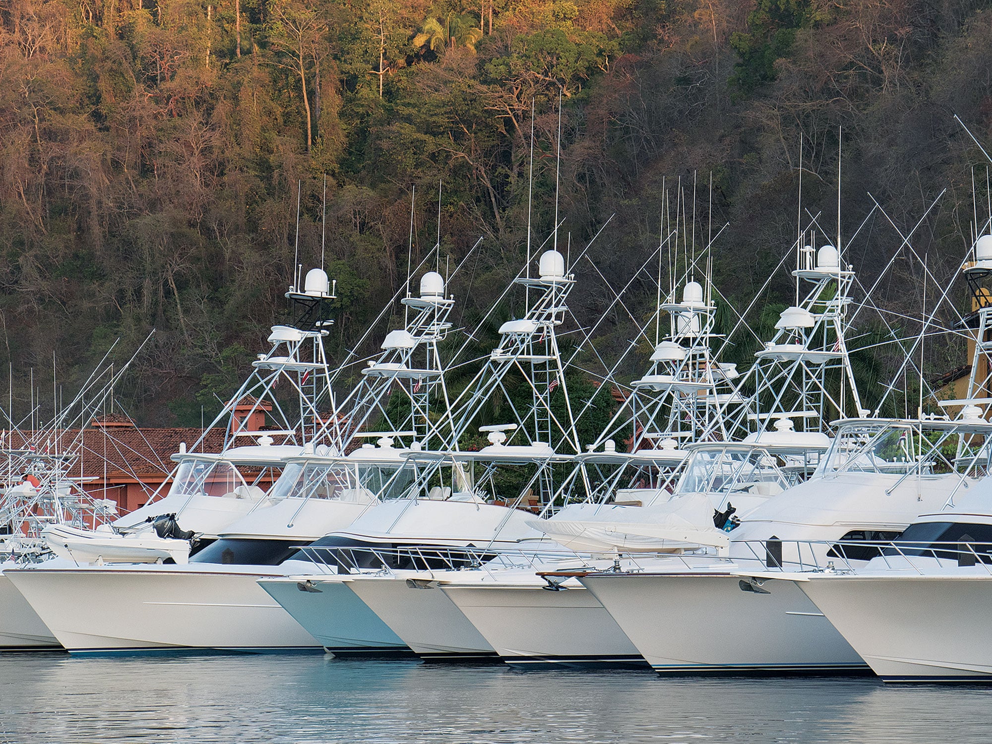Buying Sport-Fishing Boats, Understanding How Corporate Boat Ownership ...