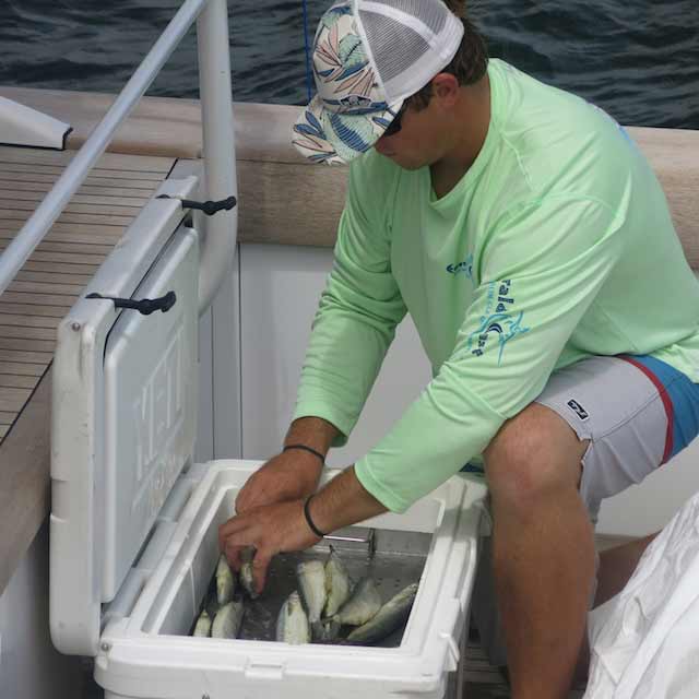 Emerald Coast Blue Marlin Classic 2017 Results and Photos | Marlin