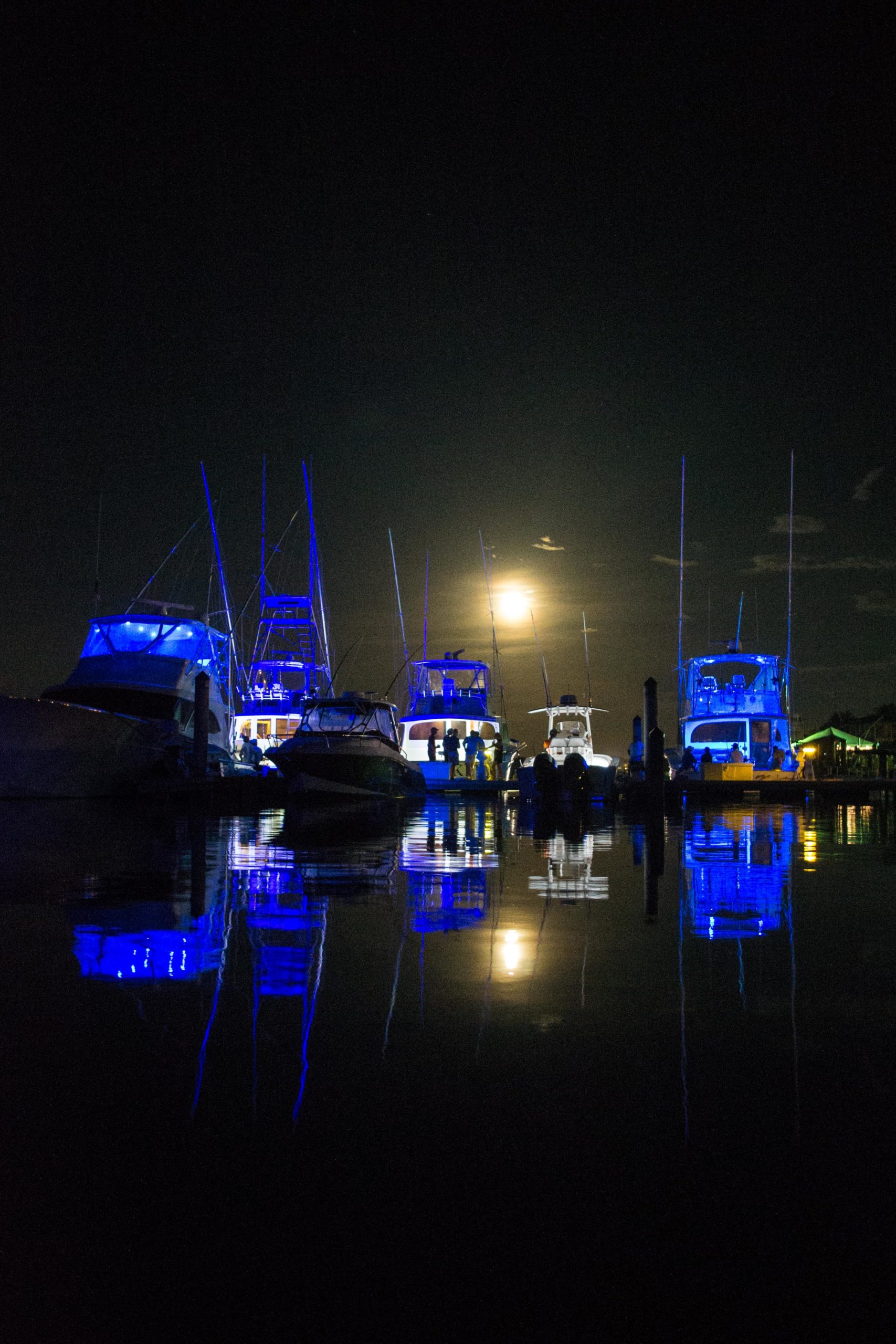 2016 Edisto Invitational Billfish Tournament Goes to Syked Out | Marlin