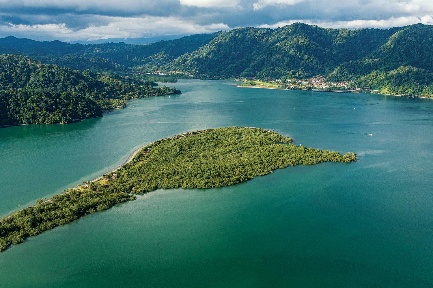 Golfito’s Blue Gold | Marlin