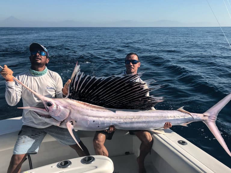 Unusual Sailfish Catch in Guatemala | Marlin
