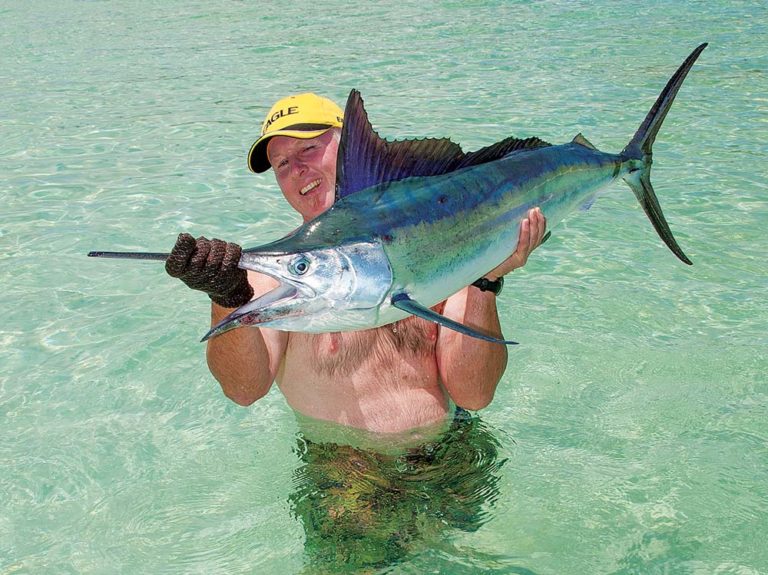 Marlin & Sailfish, Fraser Island, Australia | Marlin