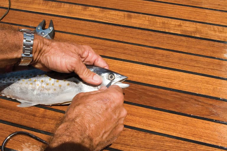 Spanish Mackerel Rigs, Rigging Mackerel for Trolling | Marlin