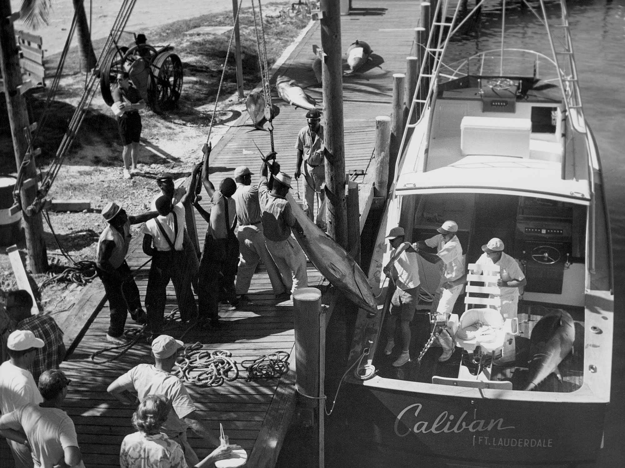 Cat Cay Bluefin Tuna Tournament Bahamas | Marlin