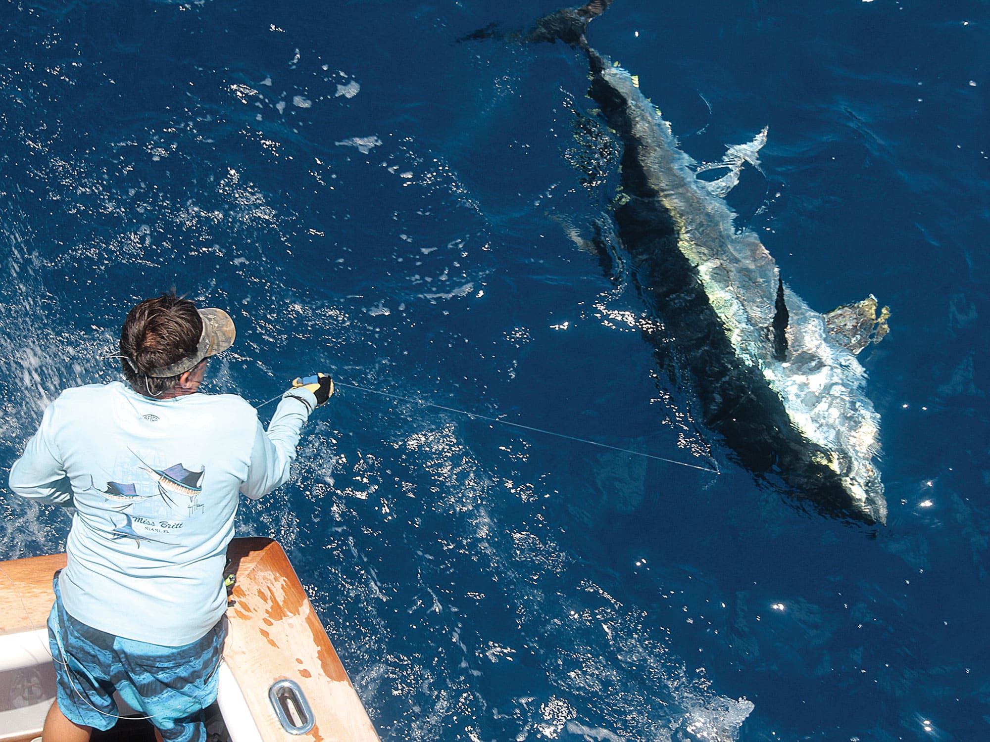 Cat Cay Bluefin Tuna Tournament Bahamas | Marlin