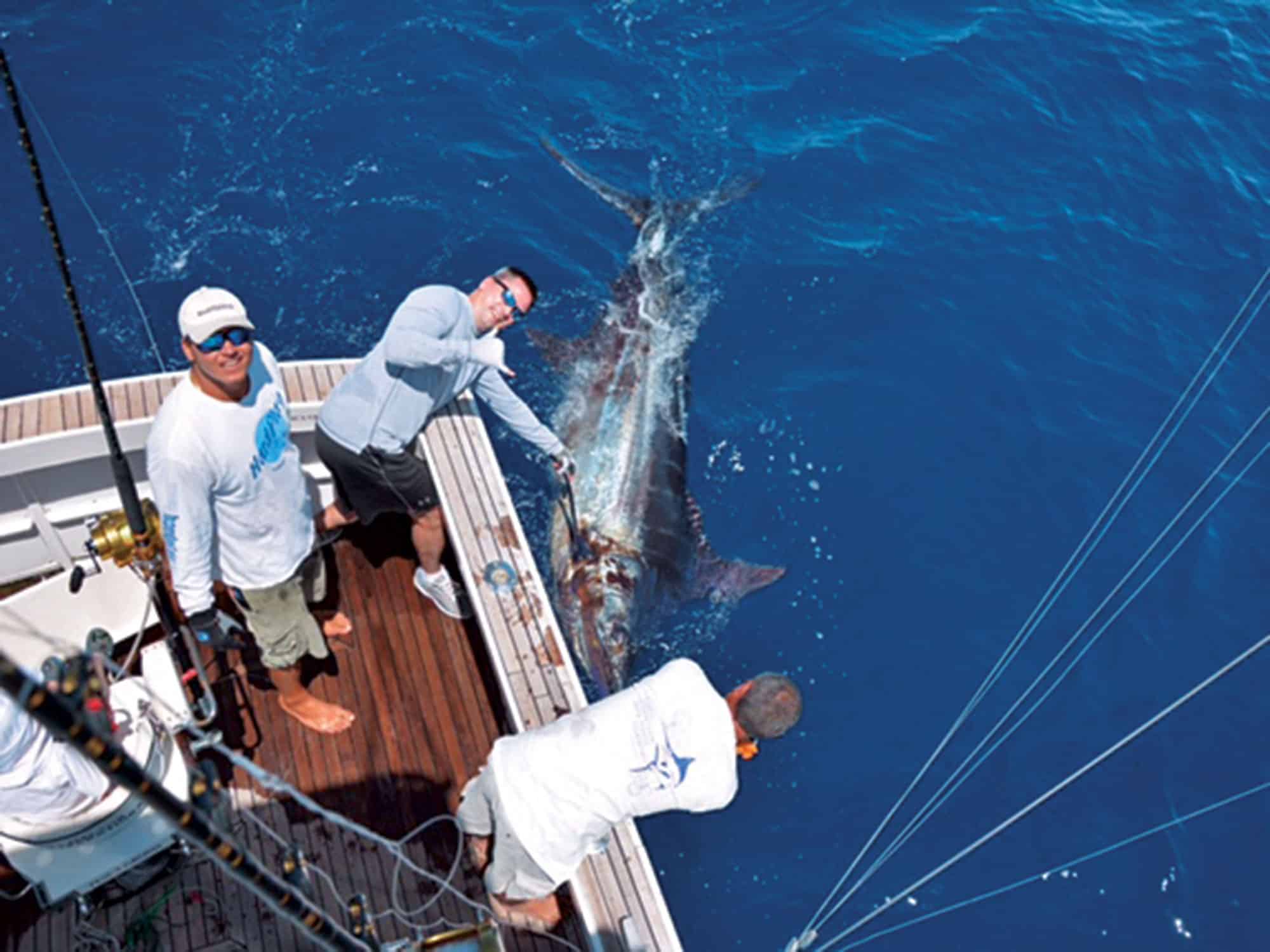 Top Offshore Fishing Tournaments, Billfish Tournaments | Marlin