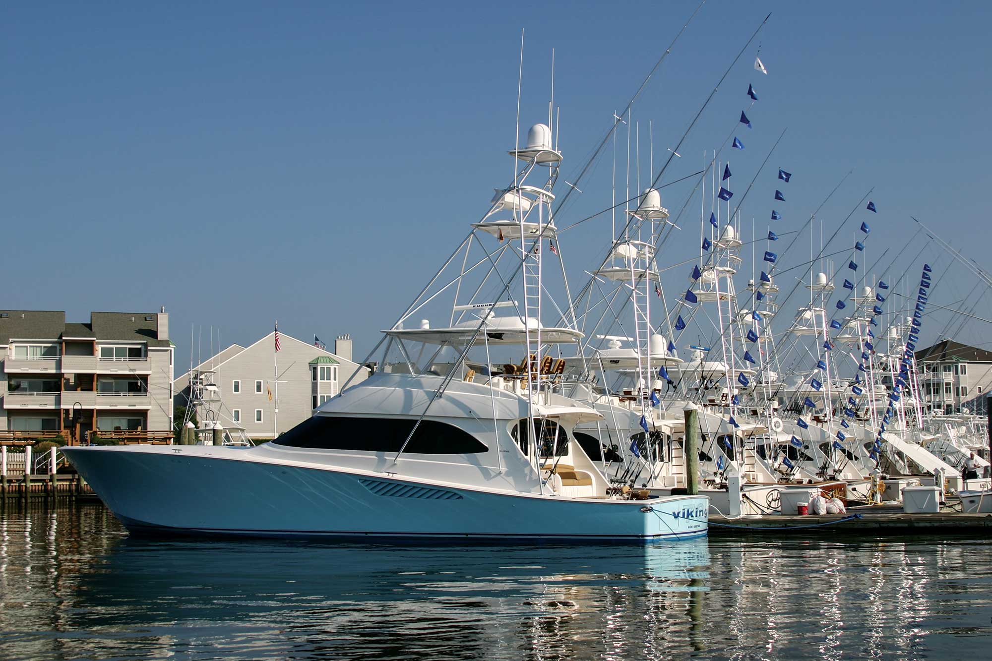 Cape May Marlin Fishing | Marlin