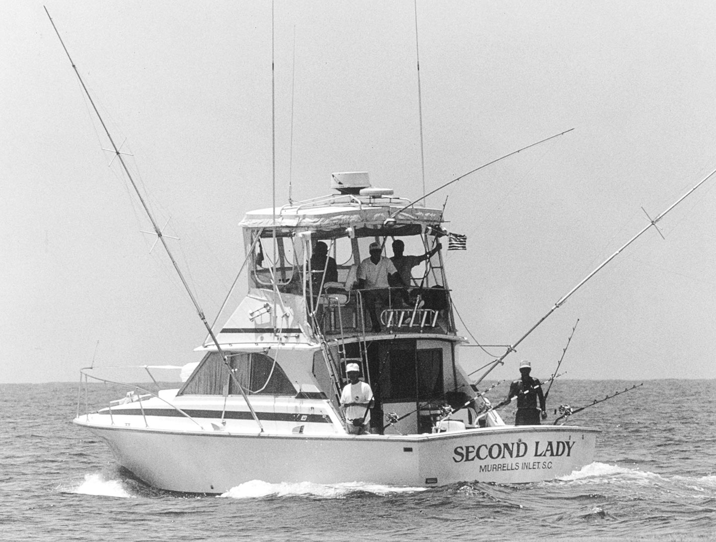 Lowcountry Billfishing | Marlin