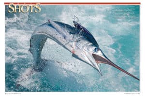 Top 20 Hot Shots | Marlin