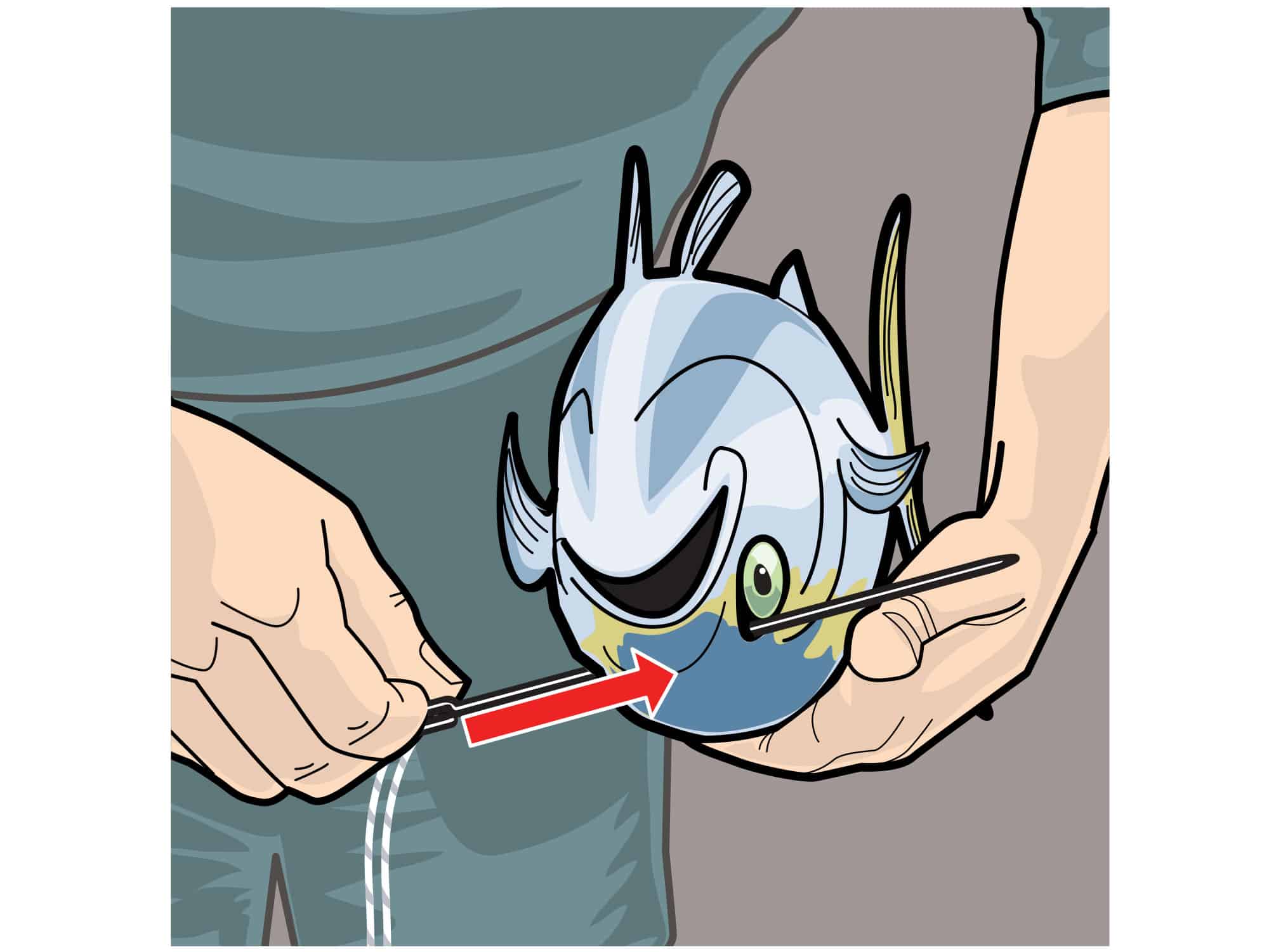 Live Bait Rig Tips for Marlin | Marlin