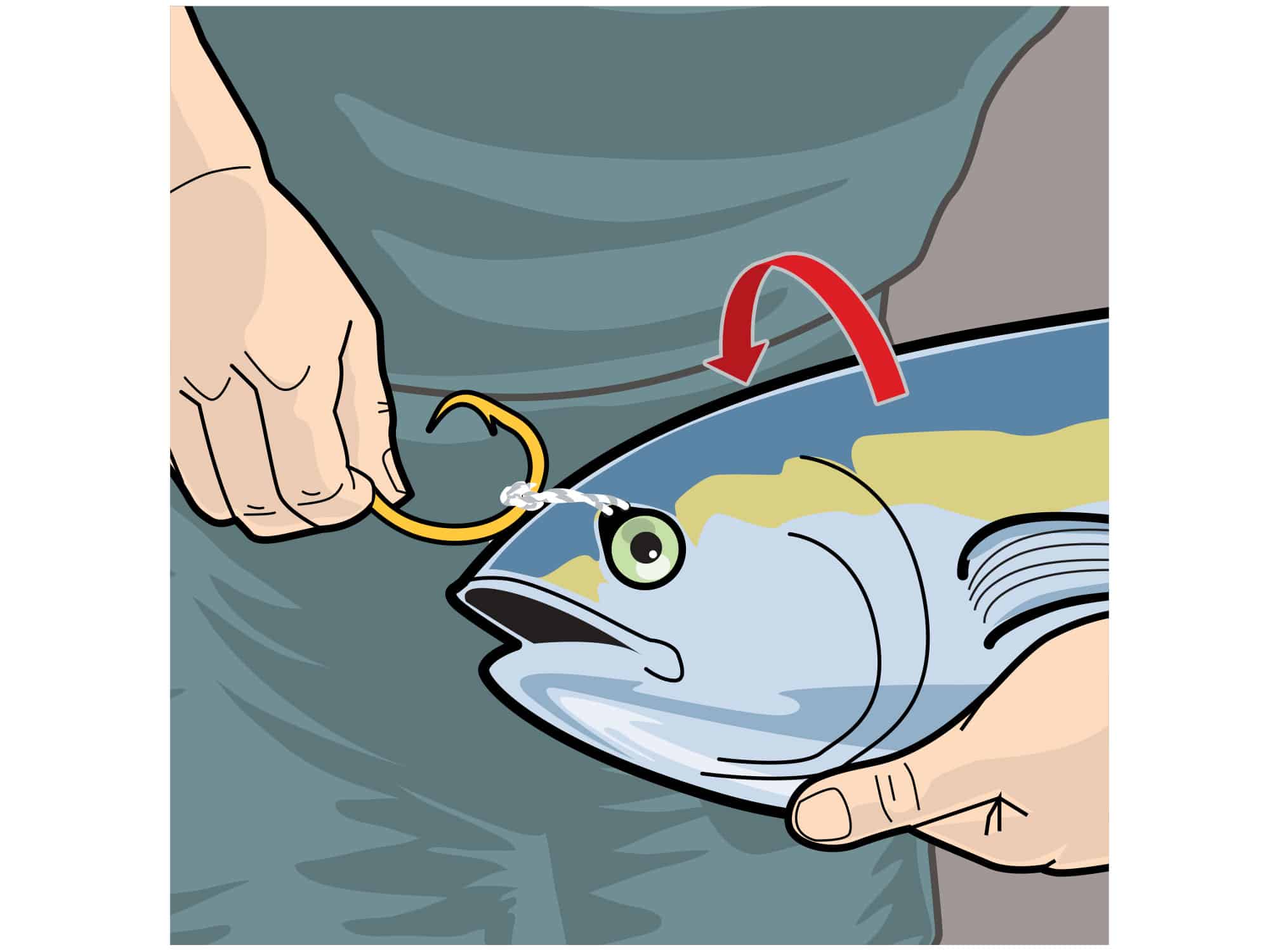 Live Bait Rig Tips for Marlin | Marlin