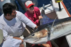 Marlin Girls 2013 | Marlin