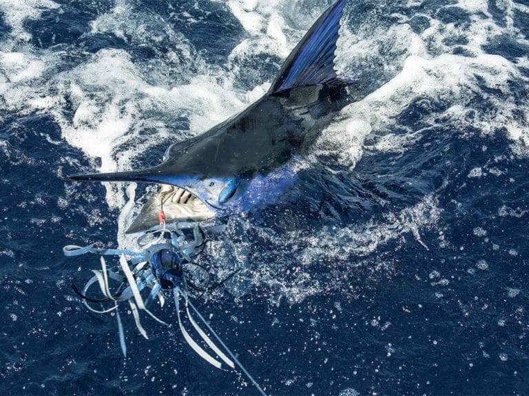Marlin Lure Rigging Techniques | Marlin