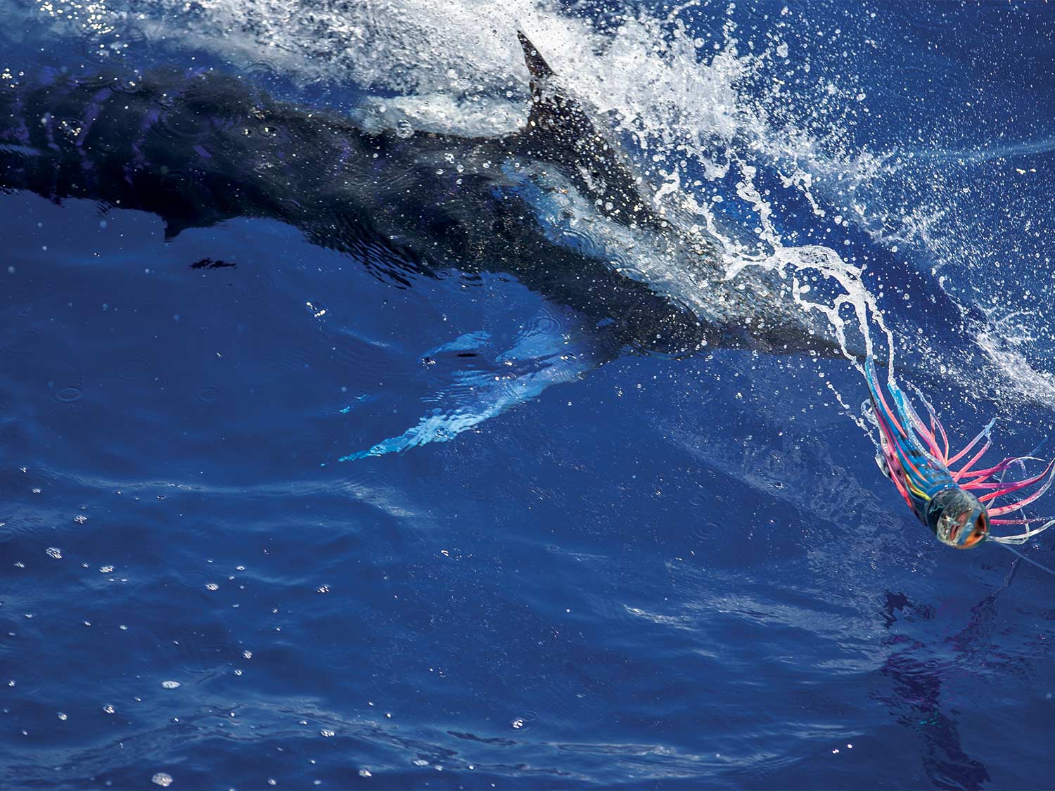 Finding the Perfect Teaser Reel | Marlin