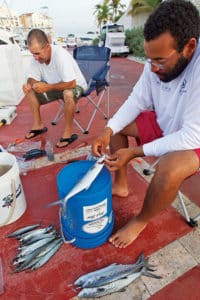 Dredge Fishing Setups and Tips | Marlin