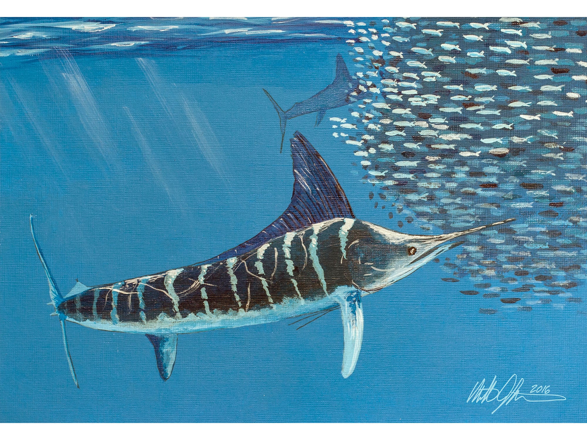 Marlin 2017 Art Gallery | Marlin