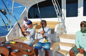 Modern Sport-Fisher Anatomy | Marlin