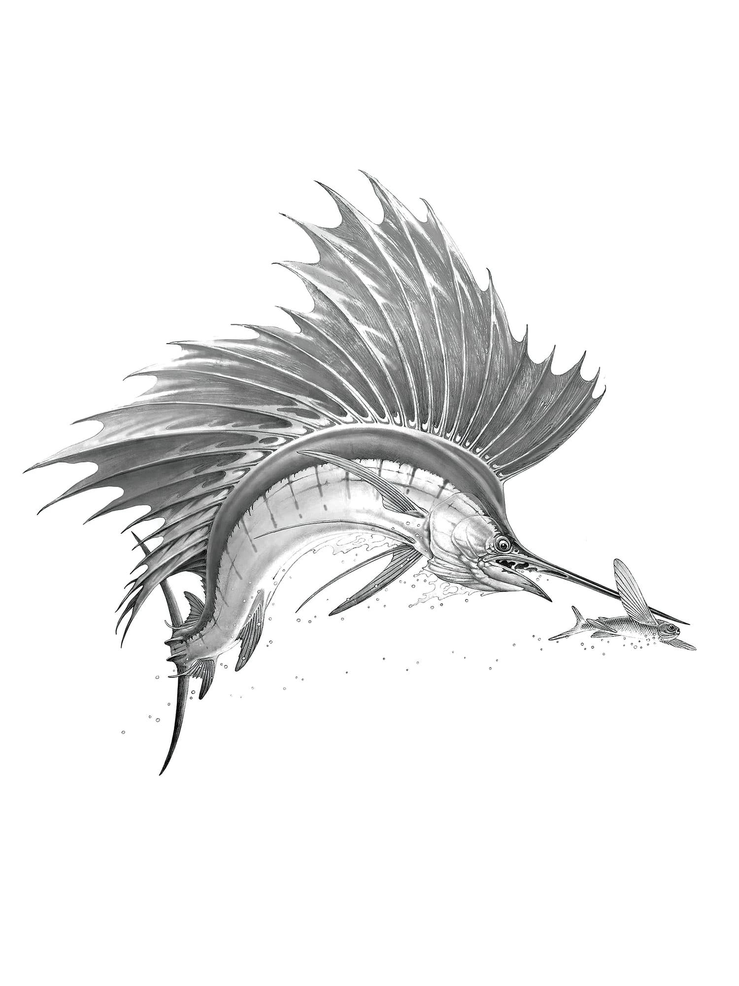2017 Marlin Offshore-Inspired Art Gallery | Marlin