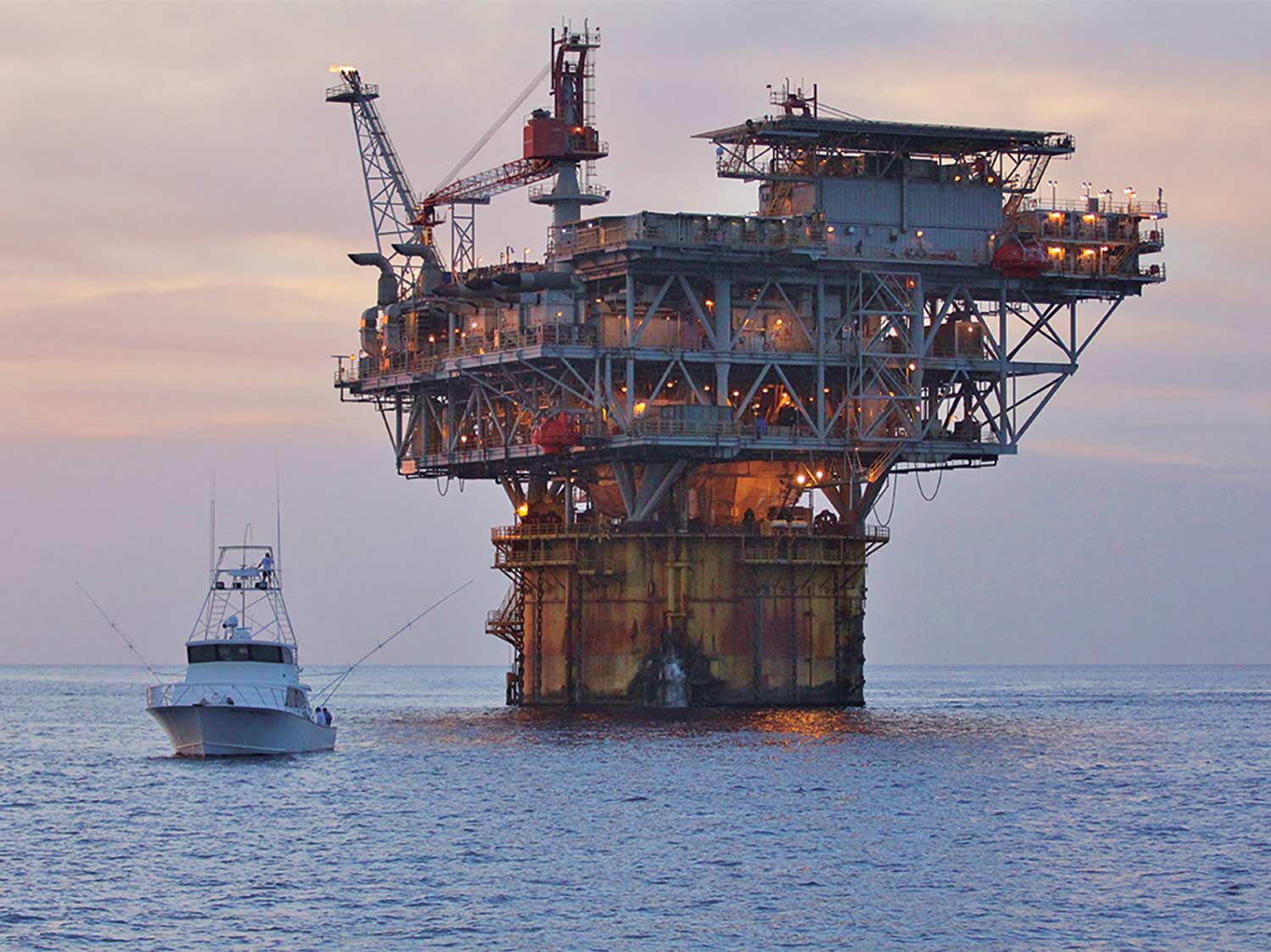 Oases in the Gulf of Mexico | Marlin