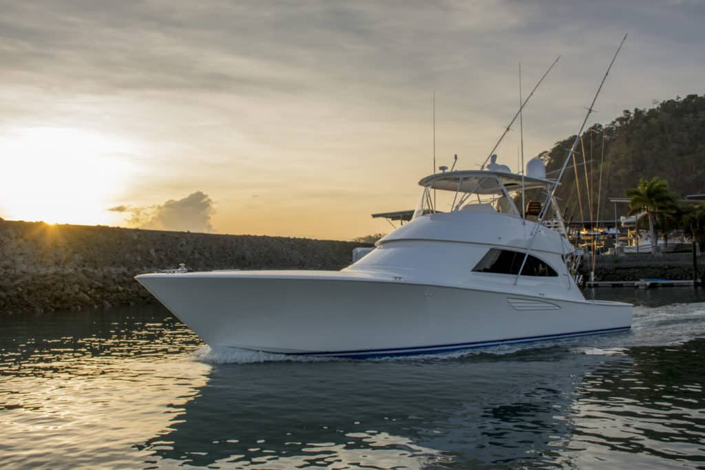 Top Sailfish and Marlin Fishing Teams in the Pacific | Marlin