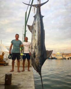 1,000-Pound Blue Marlin of 2017 | Marlin