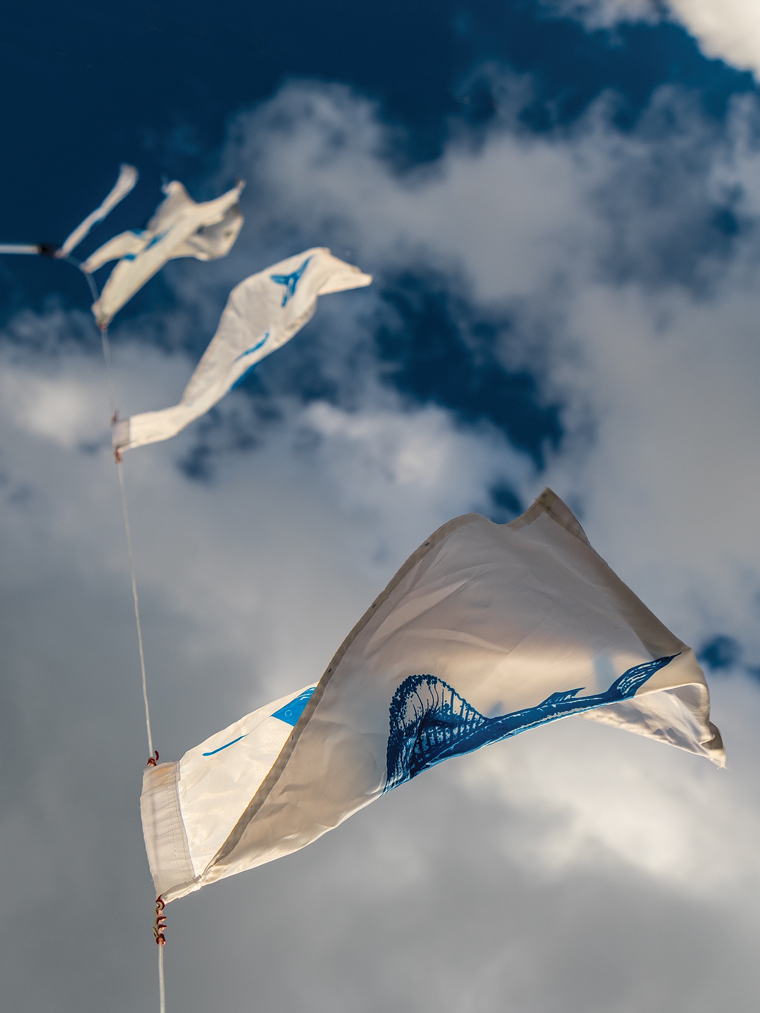 How to Catch Multiple Billfish at the Same Time | Marlin