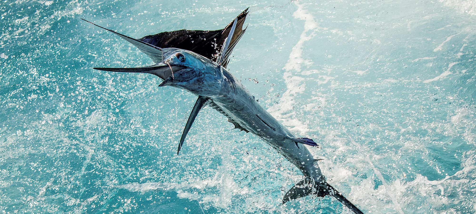 Los Sueños, Costa Rica Sport Fishing | Marlin