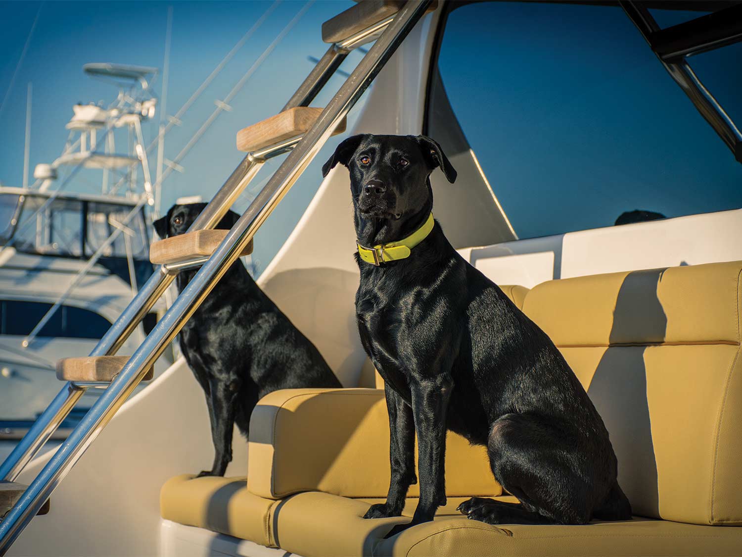 Growing Up Garmany: A Southern Fishing Tradition | Marlin