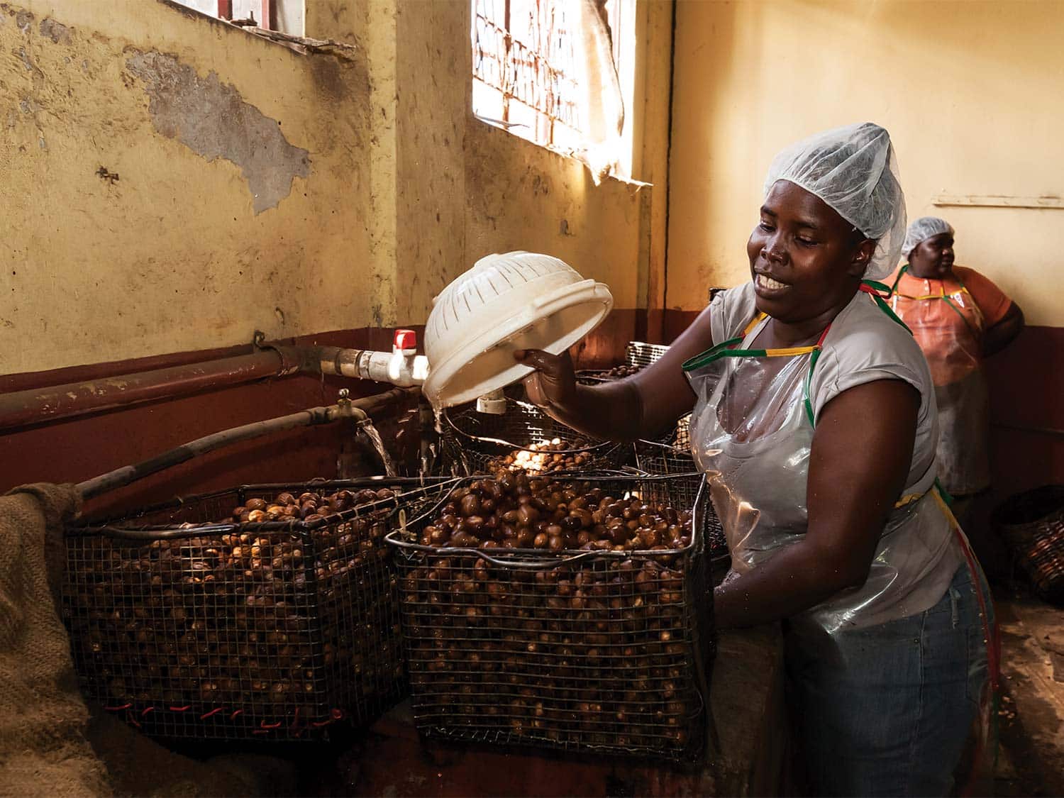 Fishing in Grenada, the Spice Island of the Caribbean | Marlin